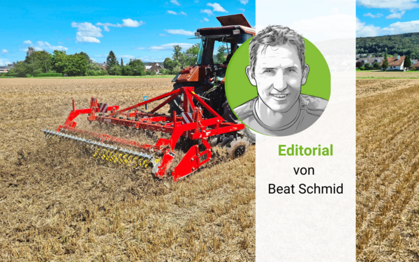 Stoppelfeld: Kratzen, spritzen oder begrünen? Editorial von Beat Schmid ...