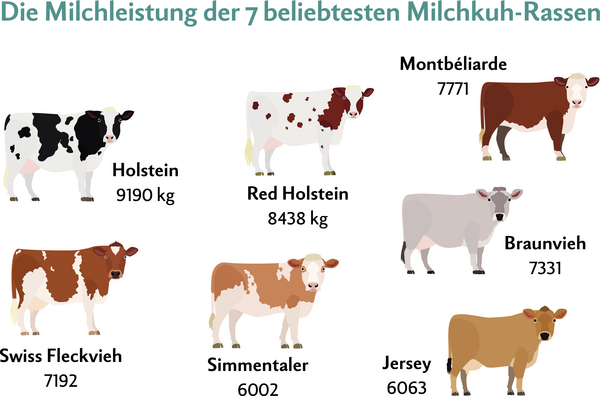 Das ultimative Milch-Listicle: 7 × 7 Fakten aus dem Schweizer ...
