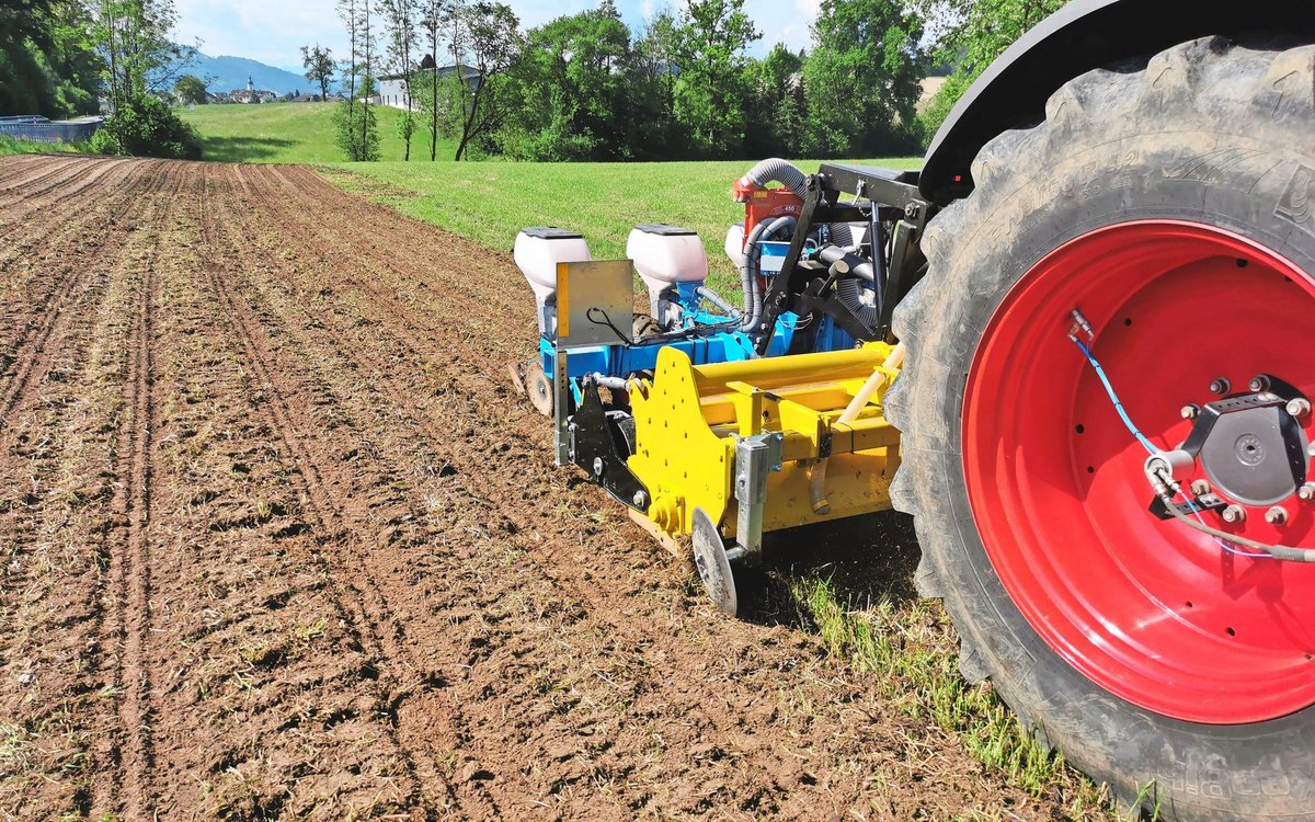 Vor- und Nachteile von Pflugsaat, Mulchsaat und Direktsaat im Maisanbau ...