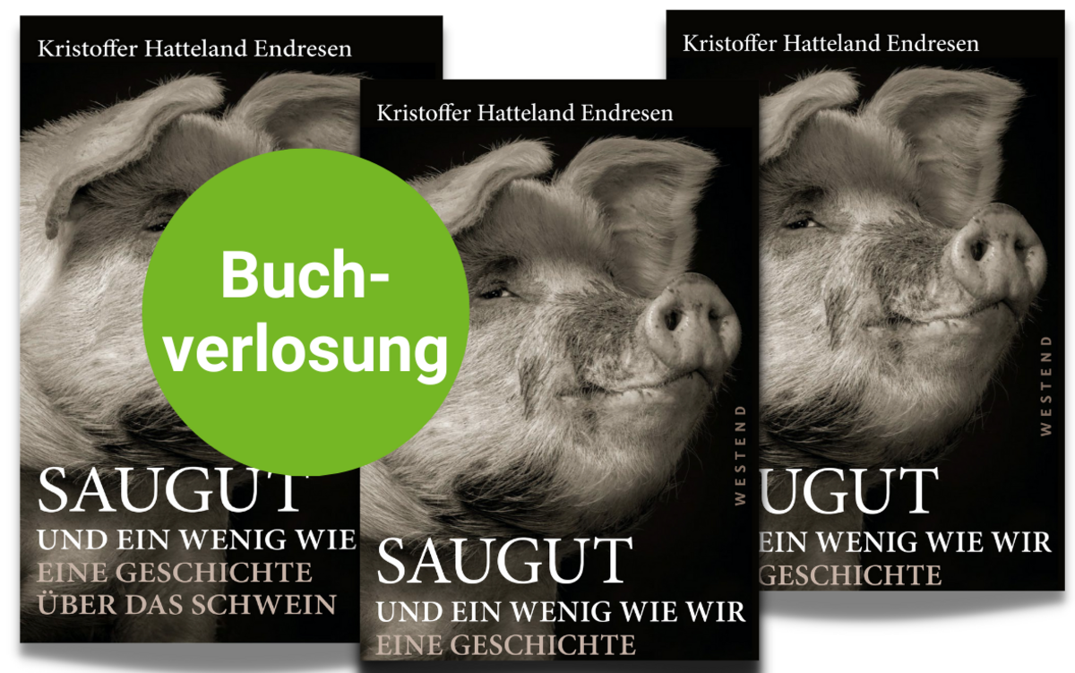 «Eine saugute Geschichte»: Spannendes Buch mit Fakten und Erzählungen ...